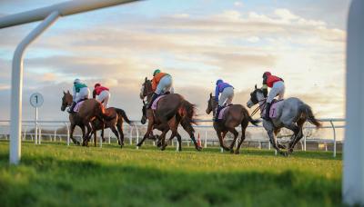 Carlisle Racecourse - Carlisle Ambassadors: Influencing the future of ...